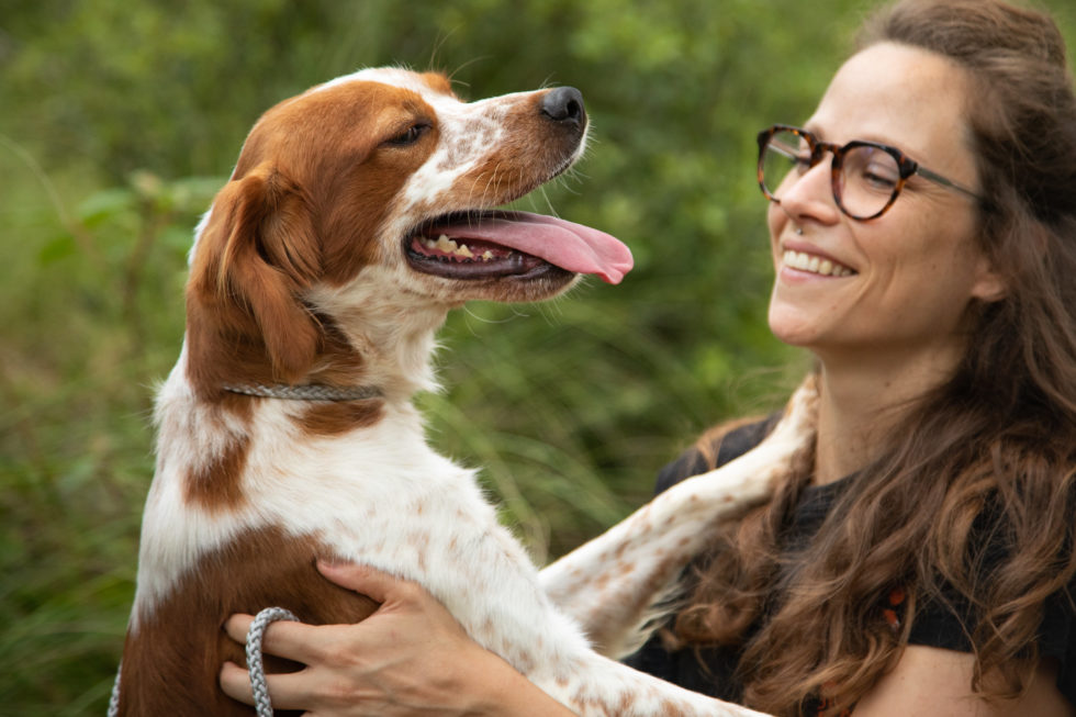 El proceso para adoptar un perro